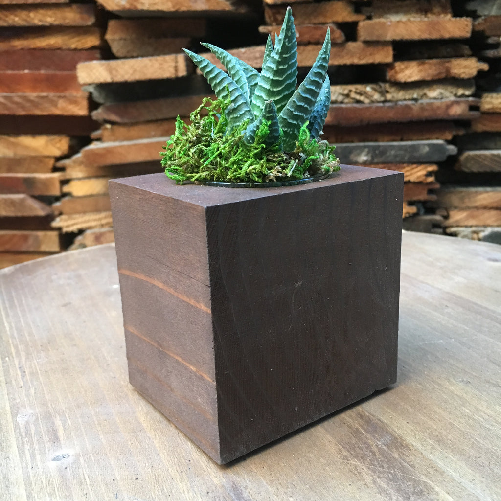 Tall Block – blissblocks